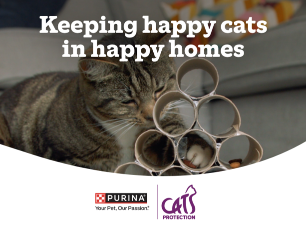 Cats Protection | UK’s Largest Cat Welfare Charity