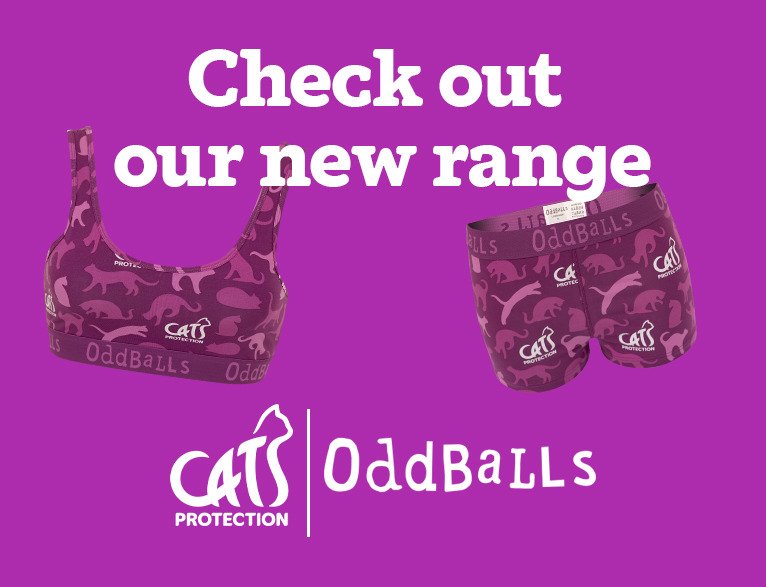 Gifts | Cats Protection