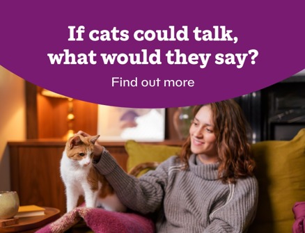 Cats Protection | UK’s Largest Cat Welfare Charity