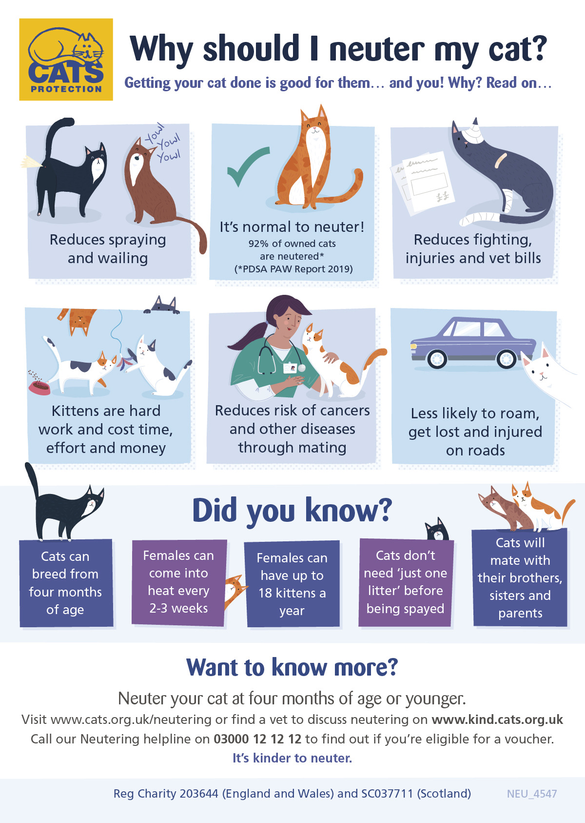 Unveiling the Feline Maturity: Exploring the Reproductive Age of Male ...