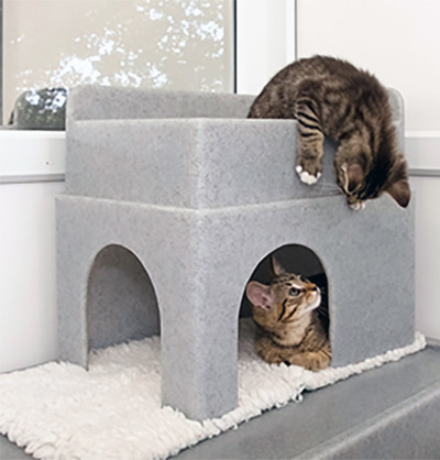 Hide & Sleep® | For vets and nurses | Cats Protection