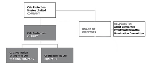 About Structure, Governance & Management | Cats Protection