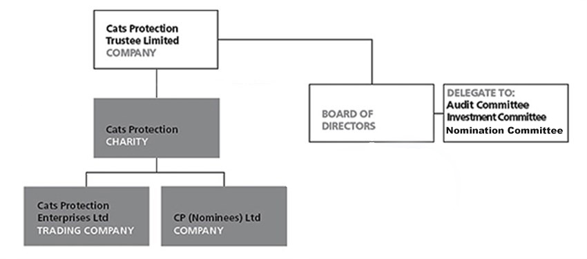 About Structure, Governance & Management | Cats Protection