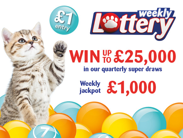 Lottery and raffle | Support us | Cats Protection