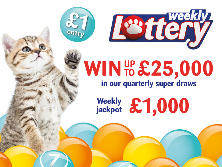 Lottery and raffle | Support us | Cats Protection