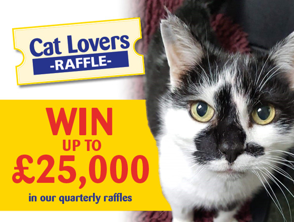 Lottery and raffle | Support us | Cats Protection