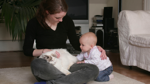 Cats and Babies - Information and Advice | Cats Protection