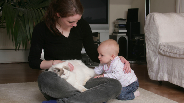 Cats and Babies - Information and Advice | Cats Protection