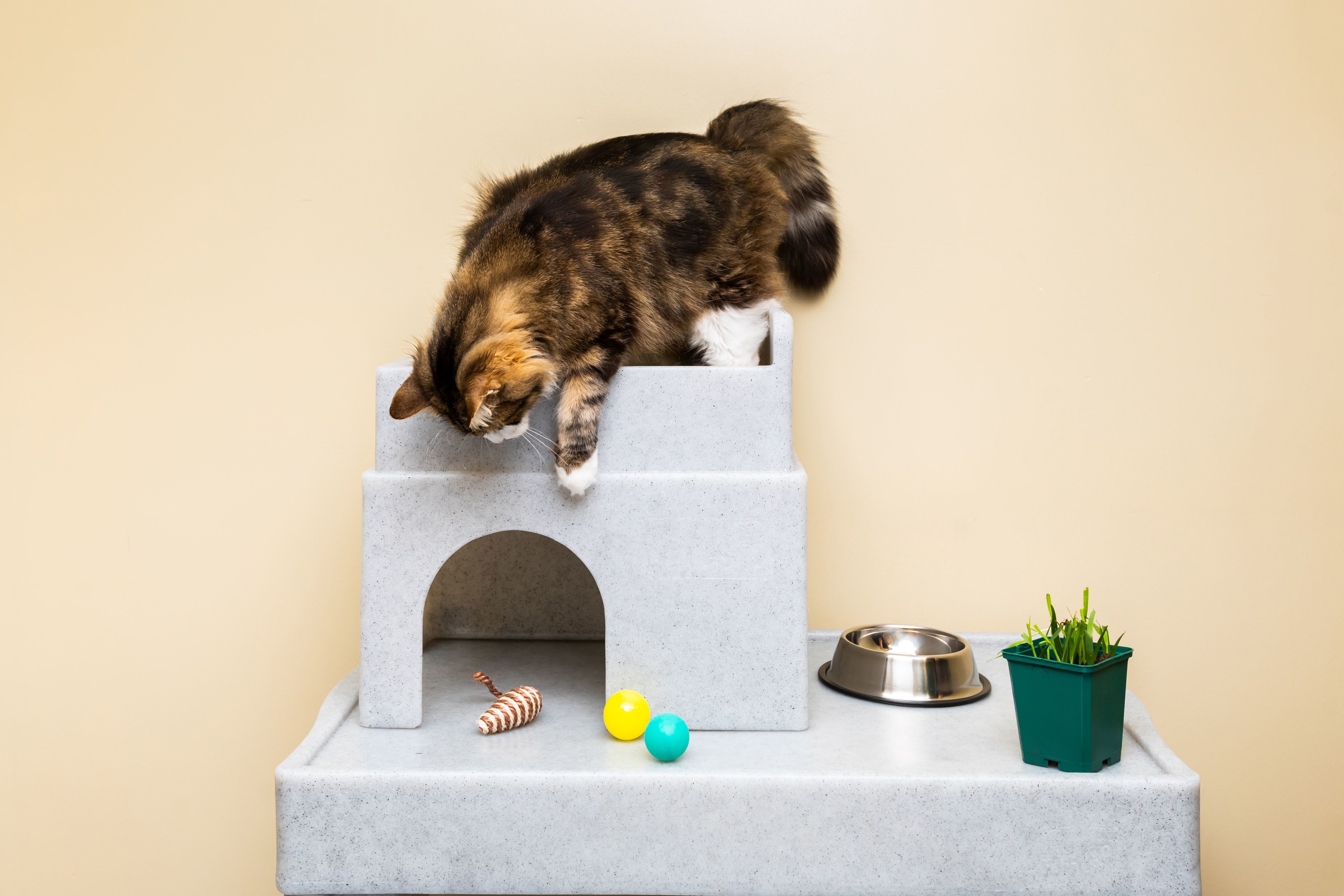 Hide & Sleep® Cat Bed | Cats Protection Shop