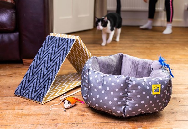 Shop | Help cats and kittens while you shop | Cats Protection