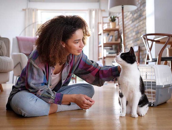 Together again | Foster for Lifeline | Cats Protection