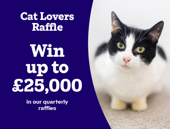 Lottery and raffle | Support us | Cats Protection