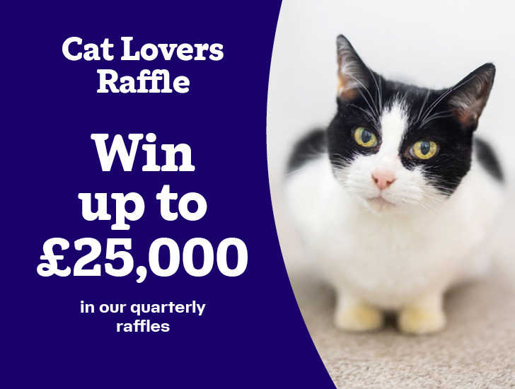 Lottery and raffle | Support us | Cats Protection