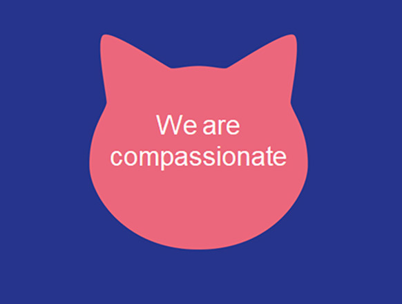 Values and behaviours | Work with cats | Cats Protection