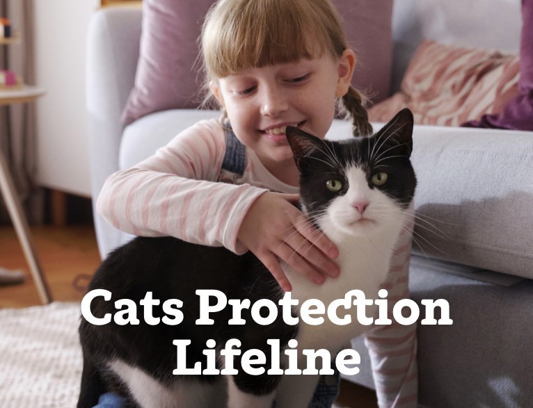 Cats Protection | UK’s Largest Cat Welfare Charity