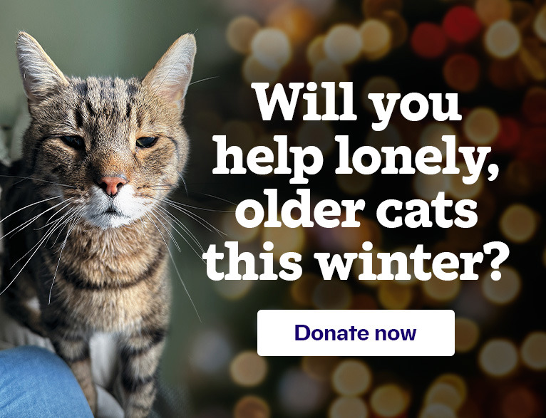 Cats Protection | UK’s Largest Cat Welfare Charity