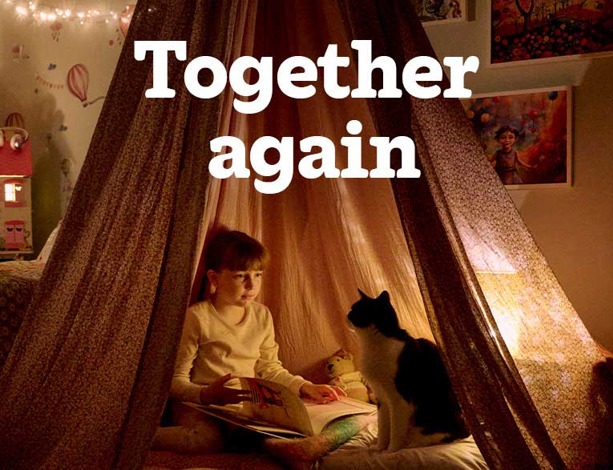 Get involved | Cats Protection