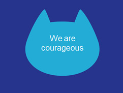 Values and behaviours | Work with cats | Cats Protection