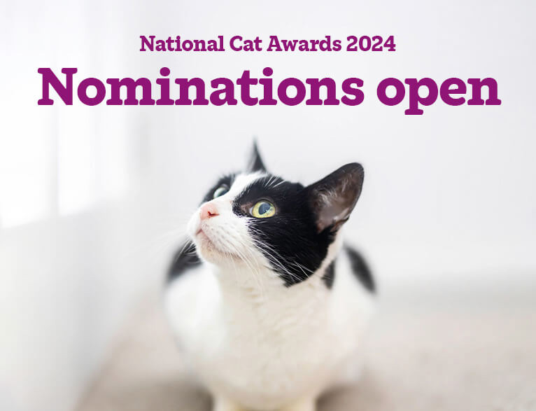 Get involved | Cats Protection