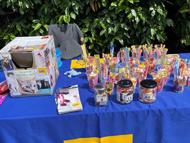 Fundraise your own way | Cats Protection