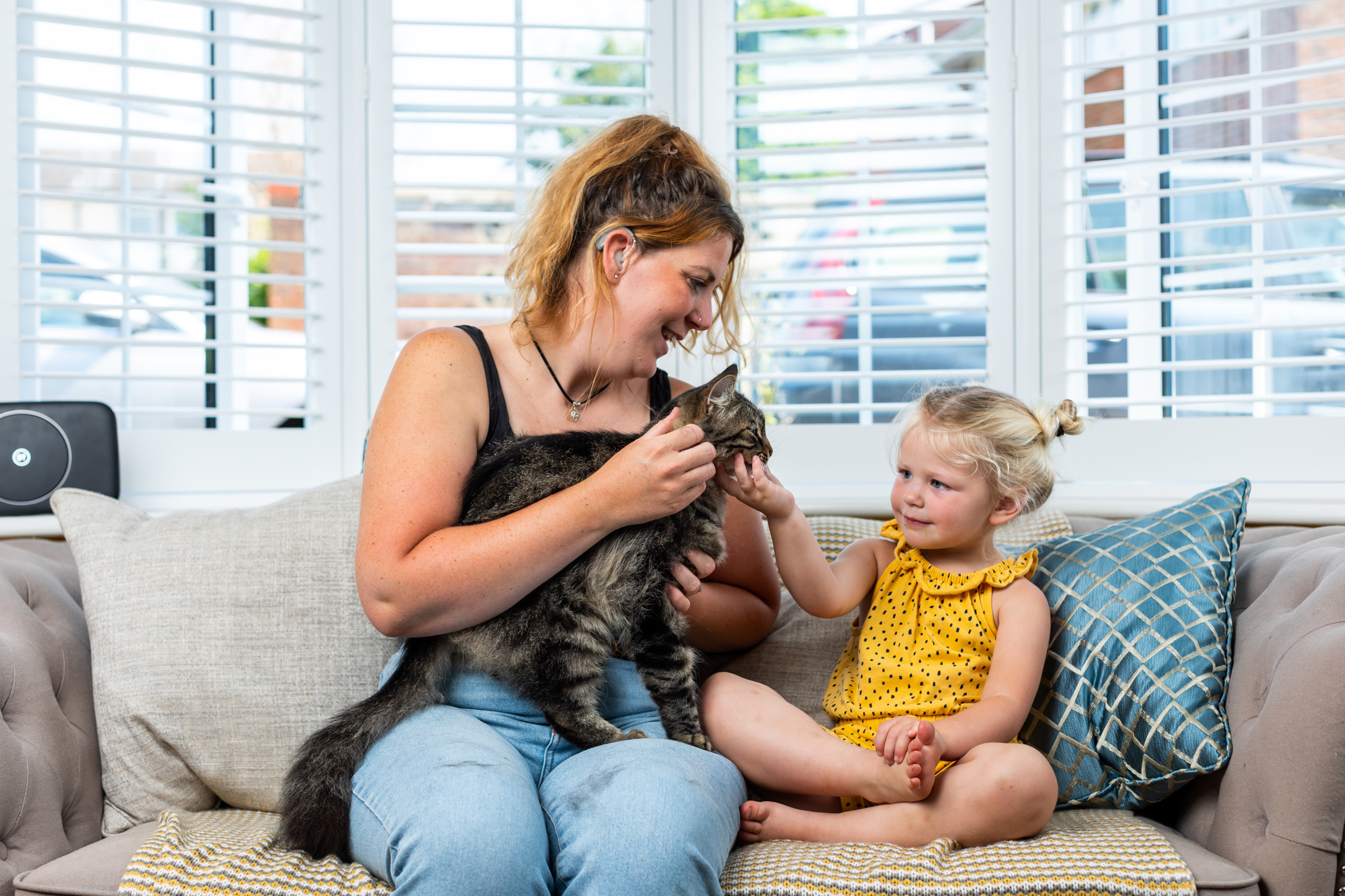 The Cat Manifesto | Campaigns | Cats Protection