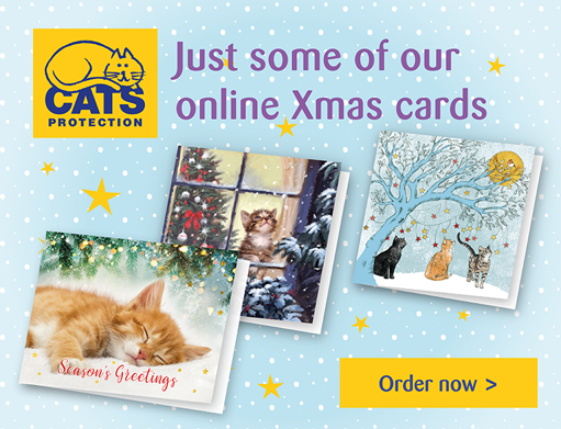 Cats Protection | UK’s Largest Cat Welfare Charity