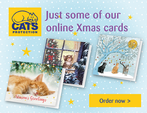 Cats Protection | UK’s Largest Cat Welfare Charity