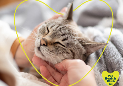 Pet Health Club | Shop With Our Partners | Cats Protection