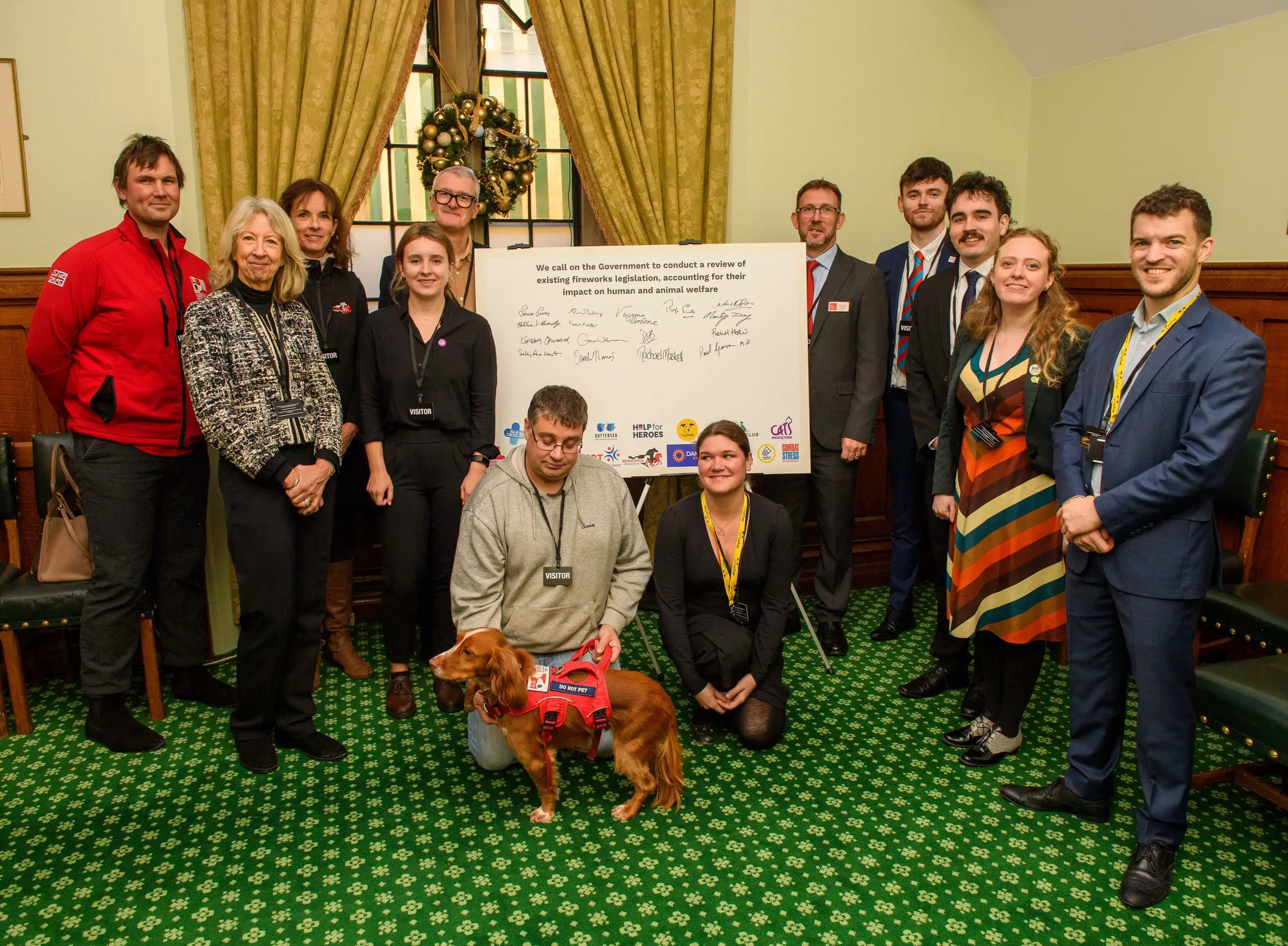 Press releases | Cats Protection