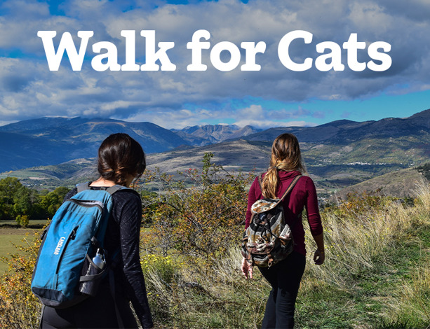 Get involved | Cats Protection