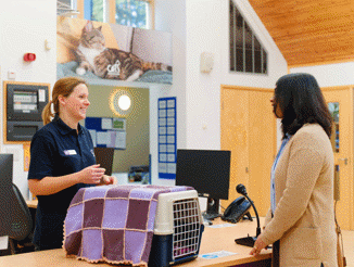 Adopt a cat | Find a cat to adopt | Cats Protection