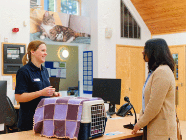 Adopt a cat | Find a cat to adopt | Cats Protection