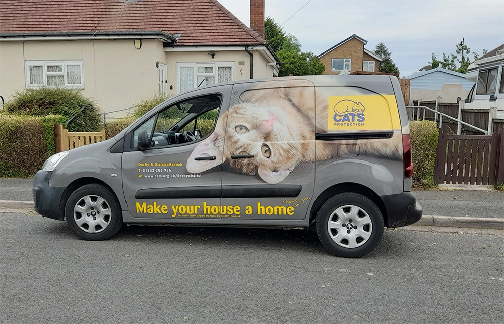Cats Protection Derby & District Branch