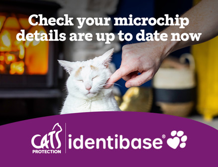 Cats Protection | UK’s Largest Cat Welfare Charity