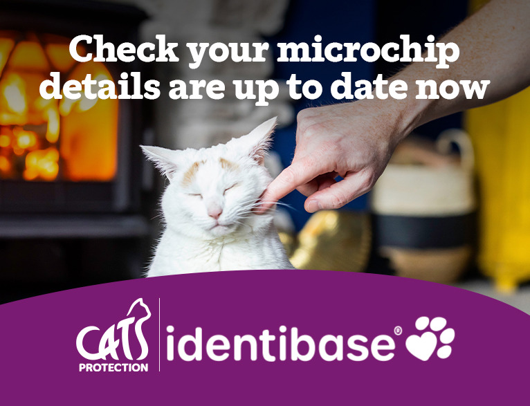 Cats Protection | UK’s Largest Cat Welfare Charity