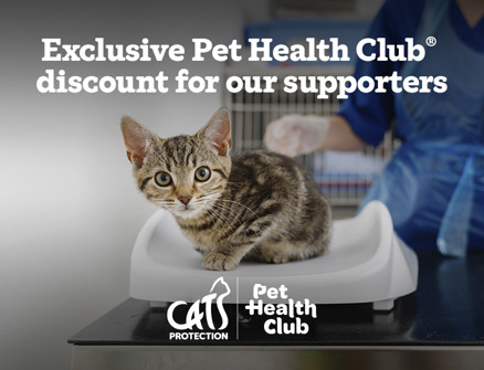 Cats Protection | UK’s Largest Cat Welfare Charity