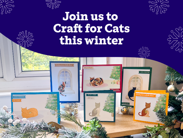 Cats Protection | UK’s Largest Cat Welfare Charity