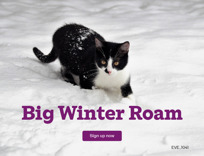 Cats Protection | UK’s Largest Cat Welfare Charity