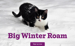 Cats Protection | UK’s Largest Cat Welfare Charity