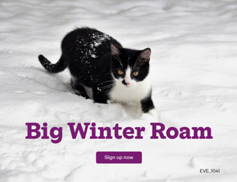 Cats Protection | UK’s Largest Cat Welfare Charity