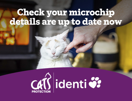 Cats Protection | UK’s Largest Cat Welfare Charity