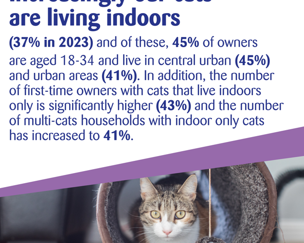 Keeping happy cats in happy homes | Cats Protection & Purina