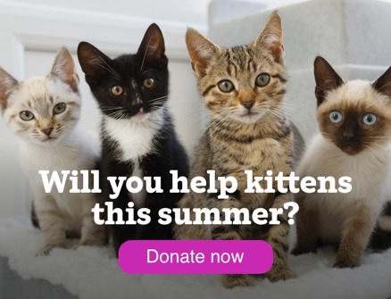Cats Protection | UK’s Largest Cat Welfare Charity