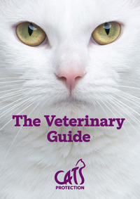 Vet protocols and resources | Help and Advice | Cats Protection