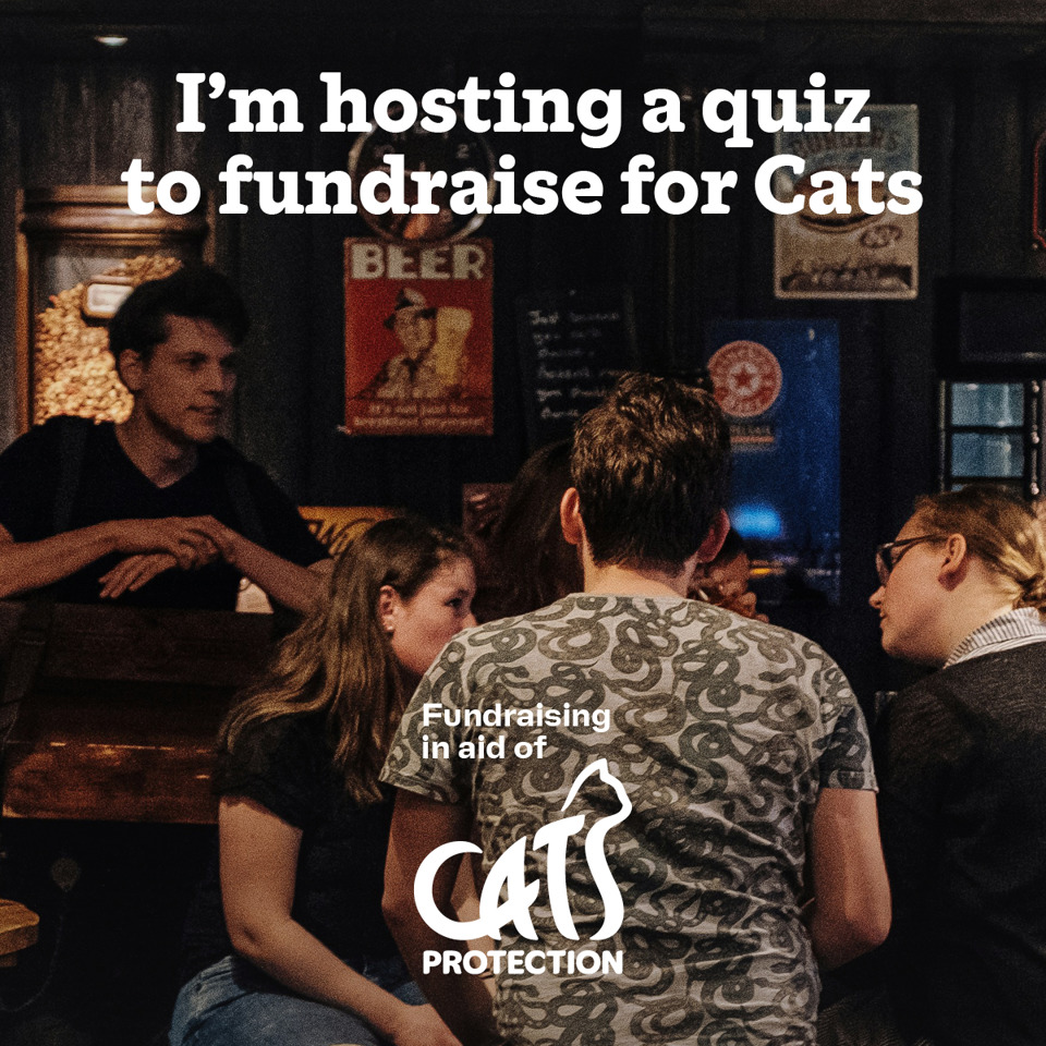 Quiz resources | Fundraise your way | Cats Protection