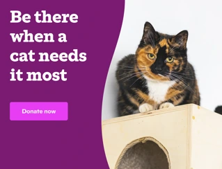 Cats Protection | UK’s Largest Cat Welfare Charity