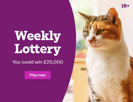 Cats Protection | UK’s Largest Cat Welfare Charity