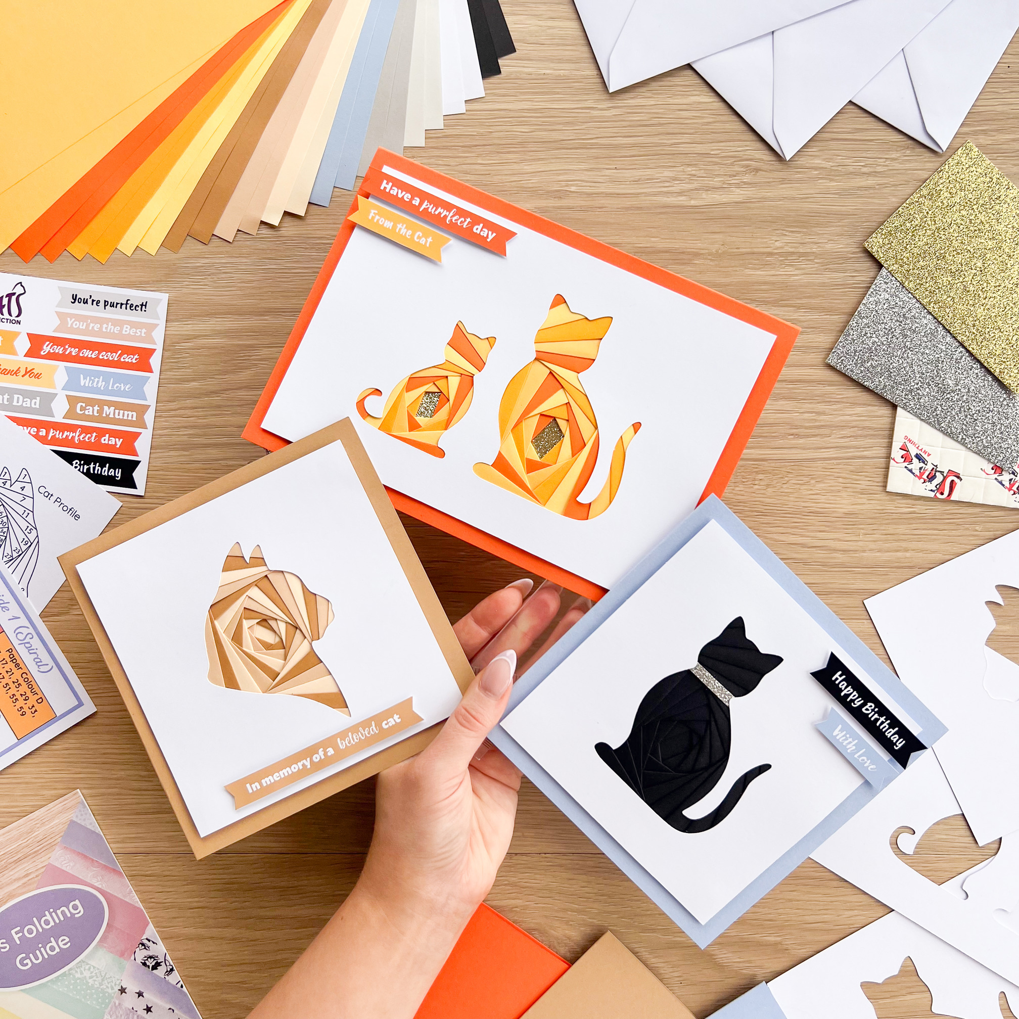 Craft for Cats kits | Craft for Cats | Cats Protection