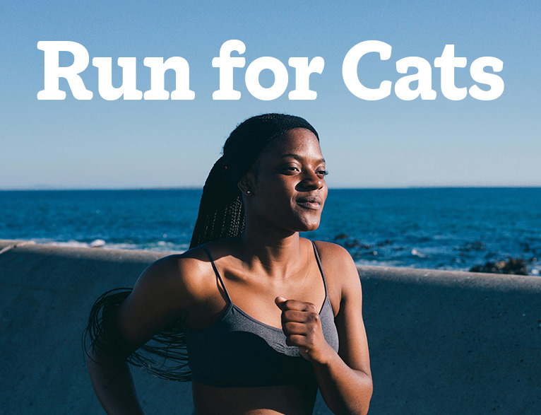 Run for Cats Protection | Running events | Cats Protection