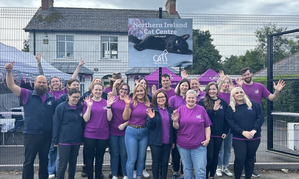 Cats Protection Northern Ireland Cat Centre